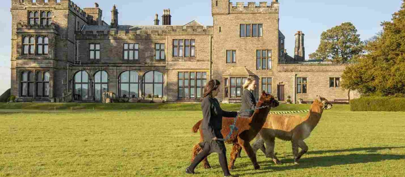 Good Spa Guide | 6 spas for wildlife lovers