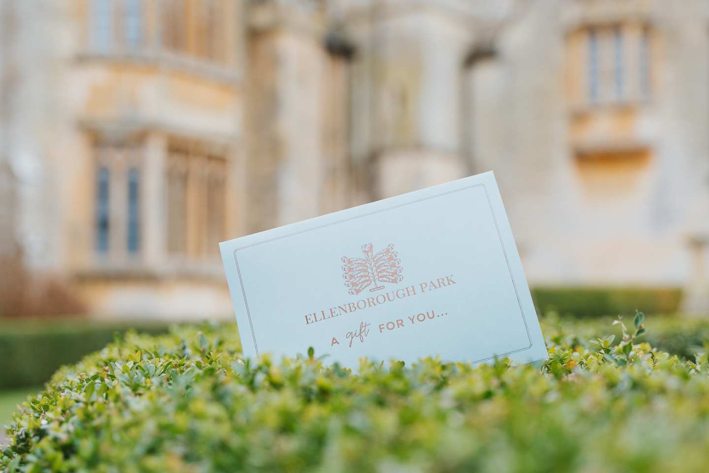 Good Spa Guide | The Spa at Ellenborough Park