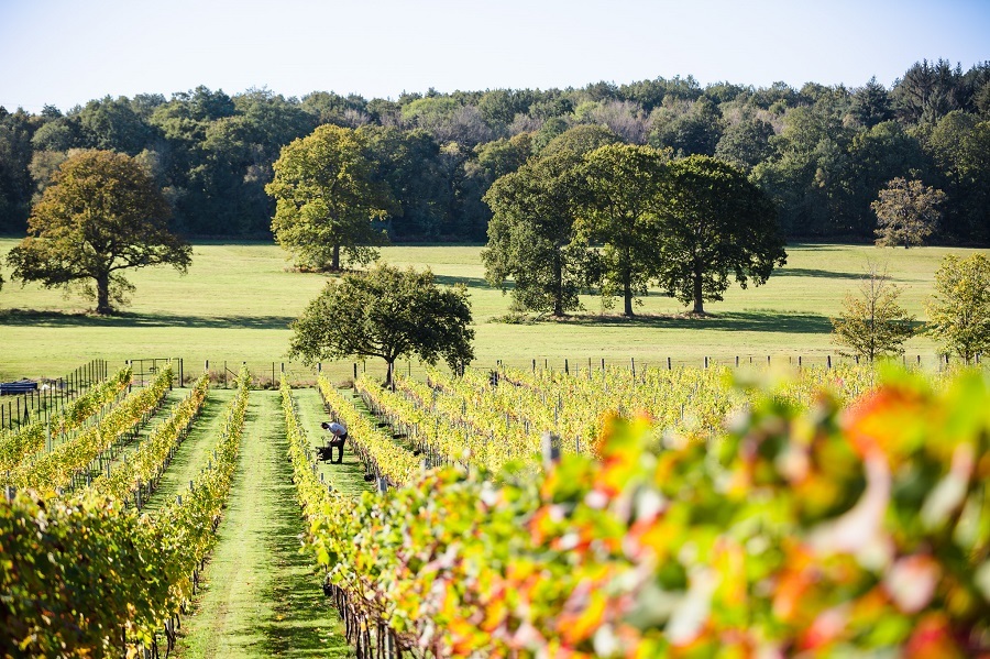 Good Spa Guide | Quob Park Rose Spa