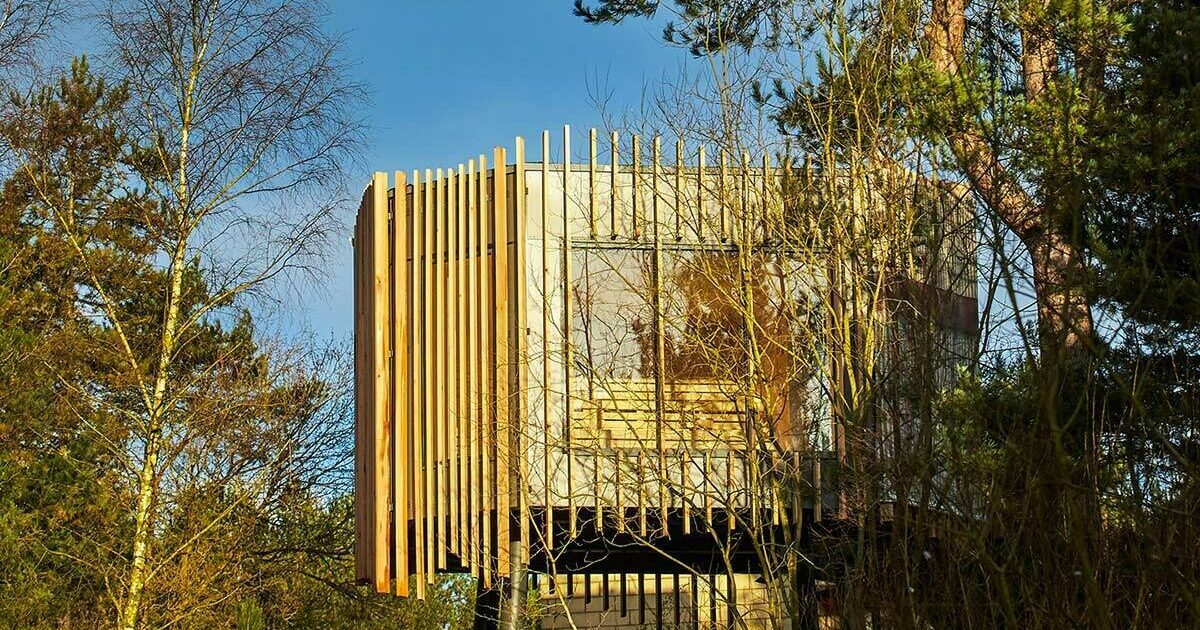 Good Spa Guide | Go wild in the forest (with mod cons … and a treetop…