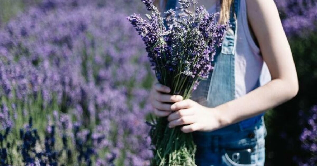 Good Spa Guide | Eco-Millennial is whisked away to lavender fields